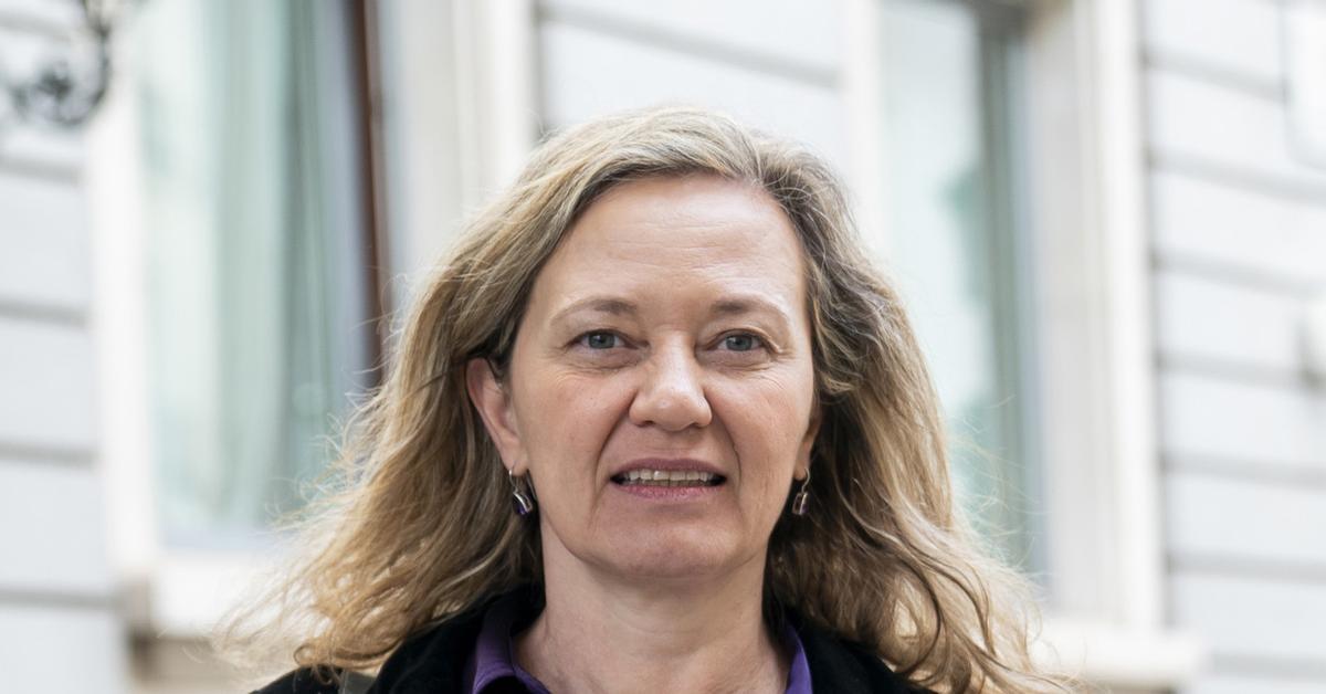 Victoria Rosell, un caso de ‘lawfare’ de libro que persigue a la jueza ...