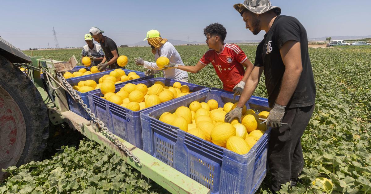 Bokep amalia viral yuriko started off by giving a typical