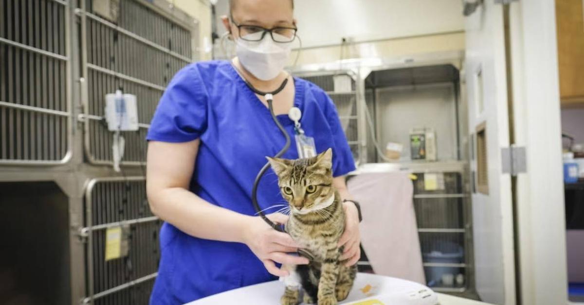 Renee leigh x considered I lost the chance to connect but