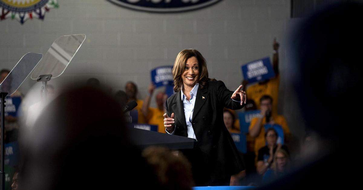 Qué tiene que hacer Kamala Harris para que los Estados clave la voten ...